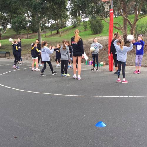 Court Booking – Waverley District Netball Association
