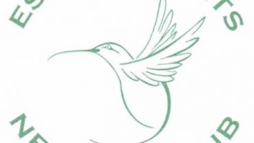 All Clubs – Waverley District Netball Association