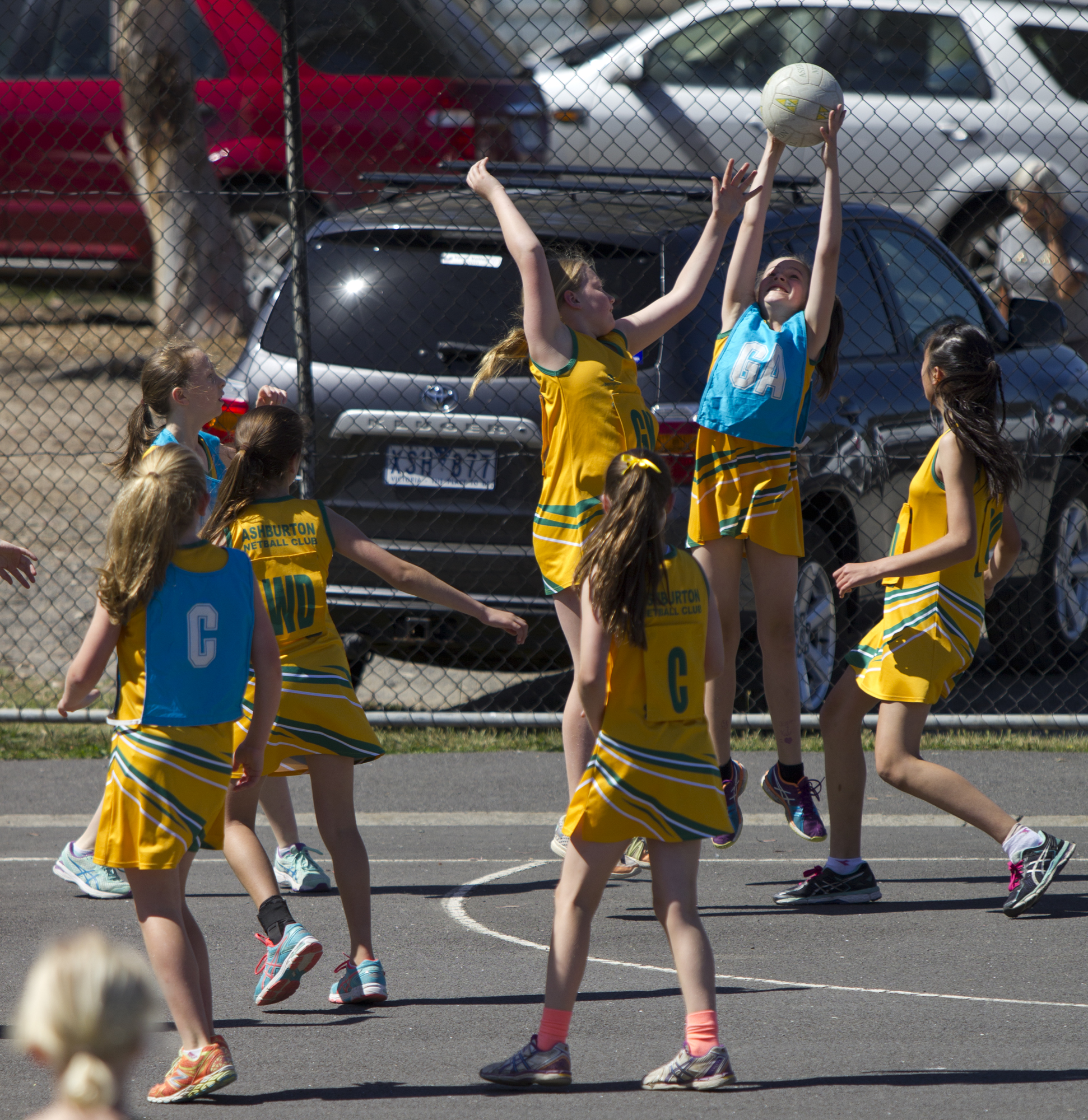 Waverley District Netball Association